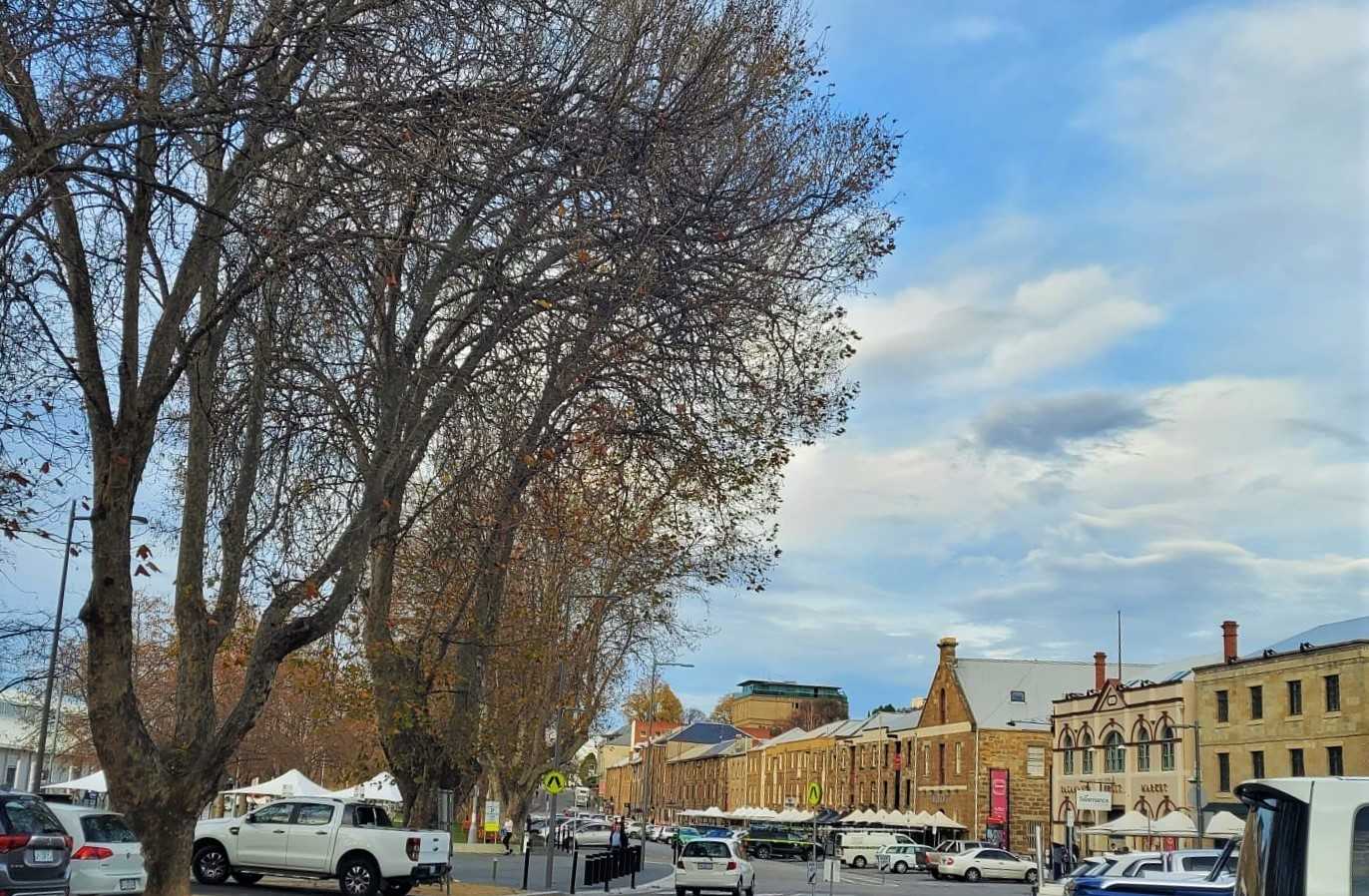 TASMANIJA – ZEMLJA NAJČIŠĆEG ZRAKA, PITKE KIŠNICE I...